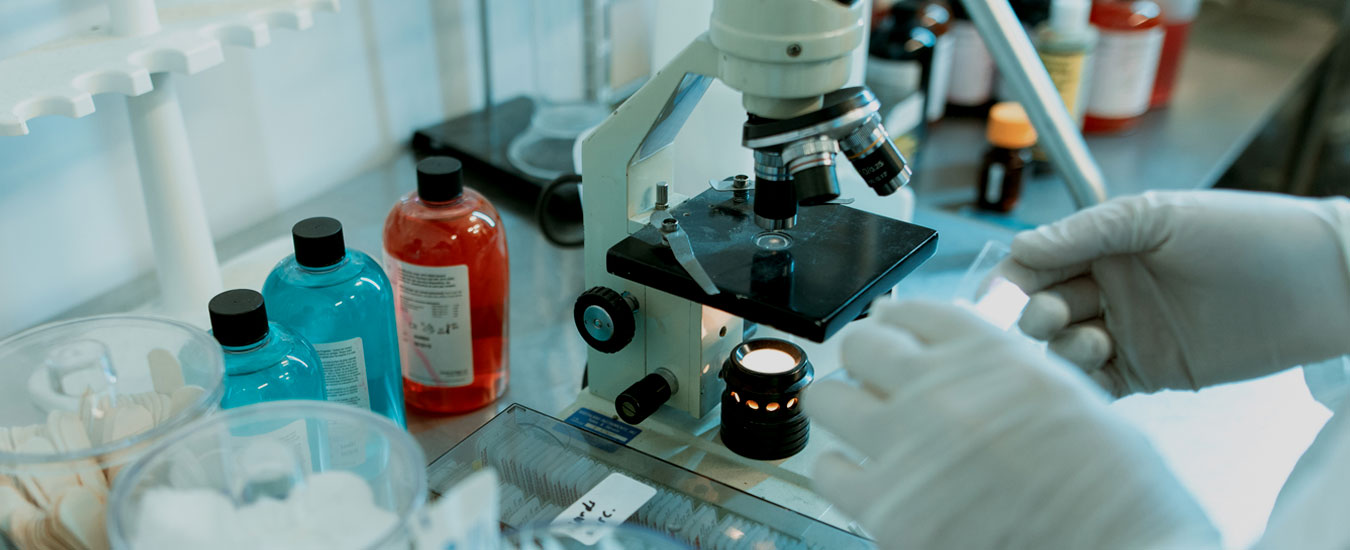 Medox Biotech India Pvt. Ltd.